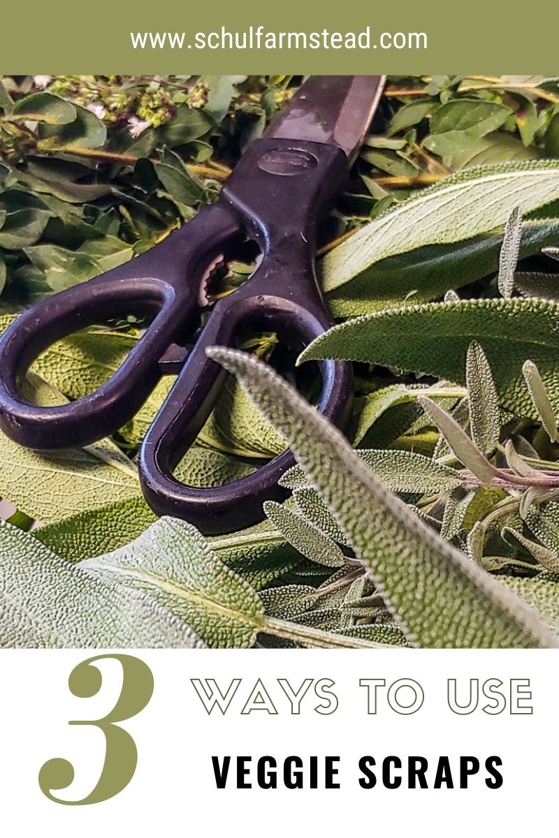 Three Ways to Use Veggie Scraps – Schul Farmstead