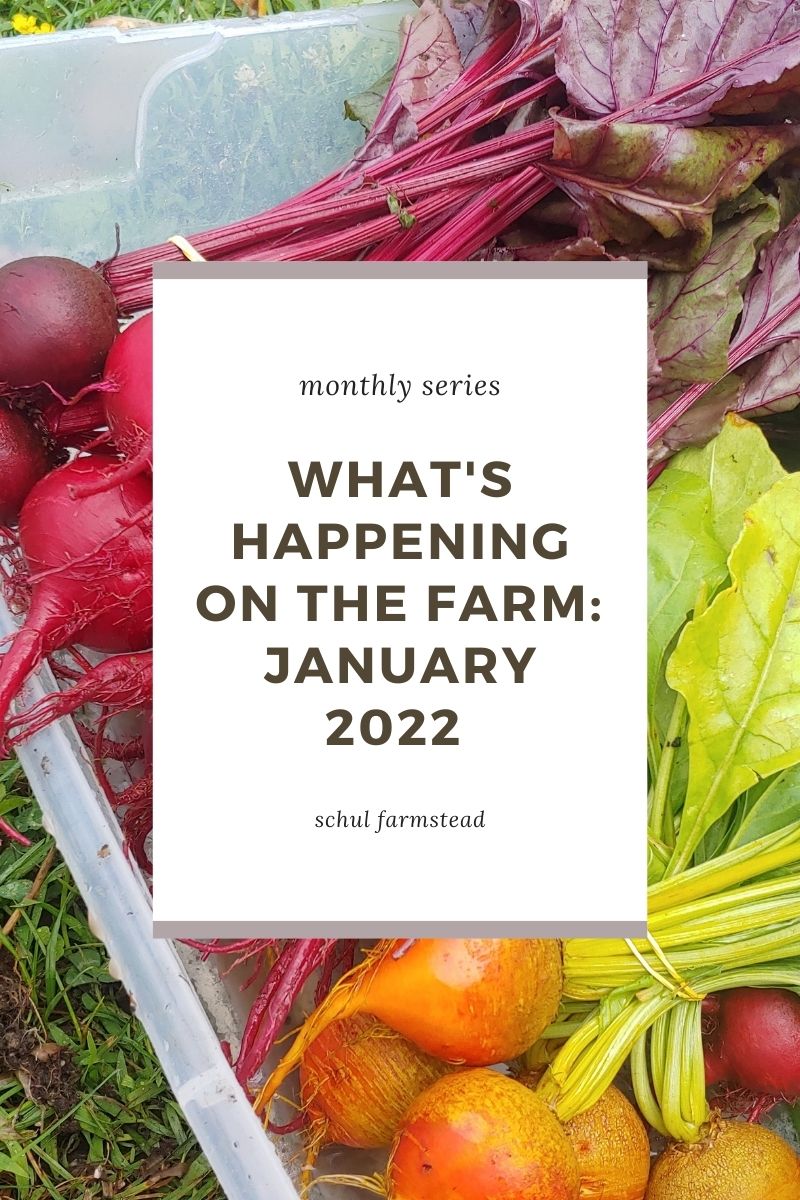 What’s Happening on the Farm: January 2022 – Schul Farmstead