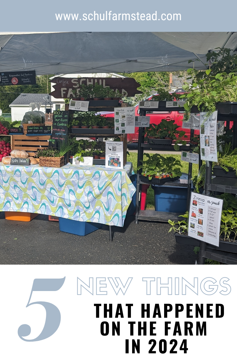 5 New Things that Happened on the Farm in 2024 – Schul Farmstead