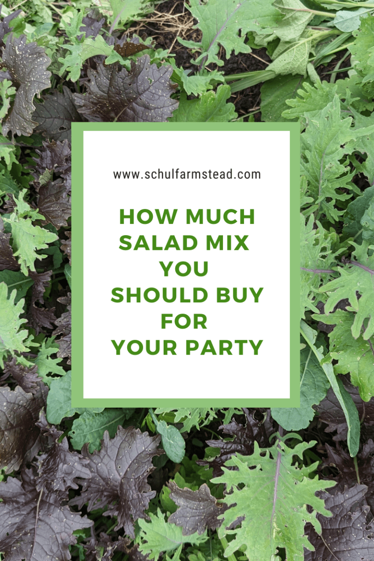 How Much Salad Mix You Should Buy for Your Party – Schul Farmstead