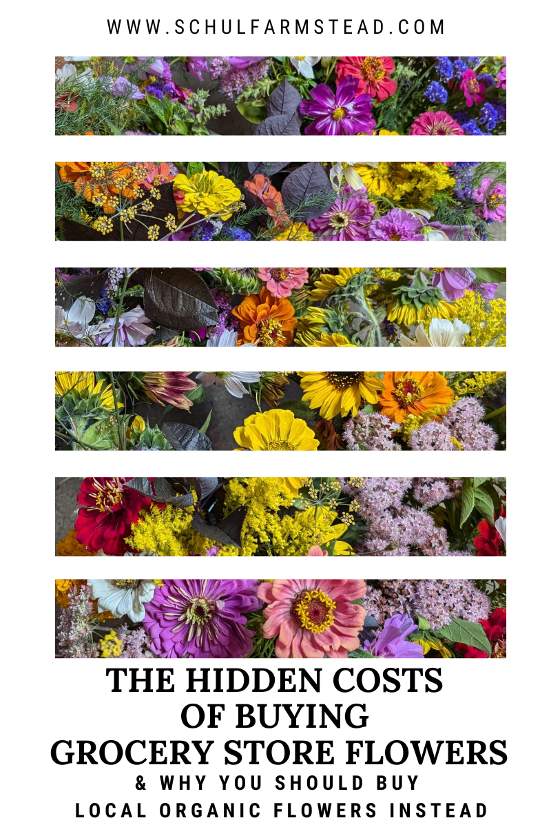 The Hidden Costs of Buying Grocery Store Flowers – Schul Farmstead