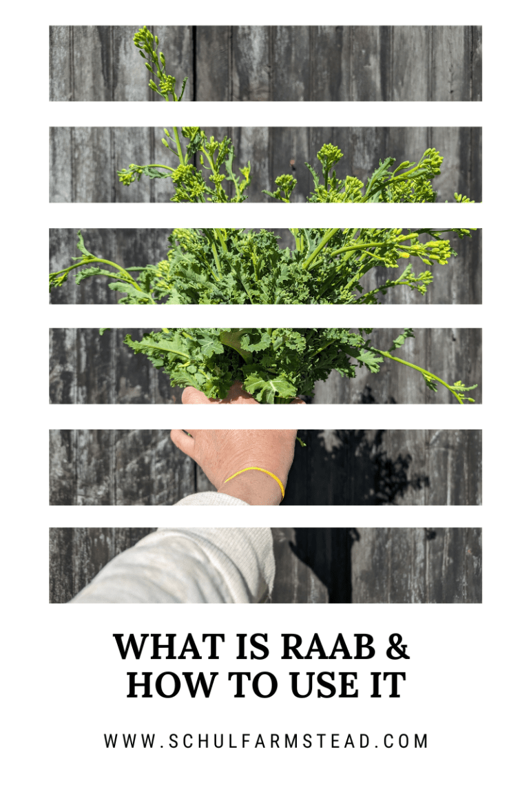 What is Raab & How to Use it – Schul Farmstead