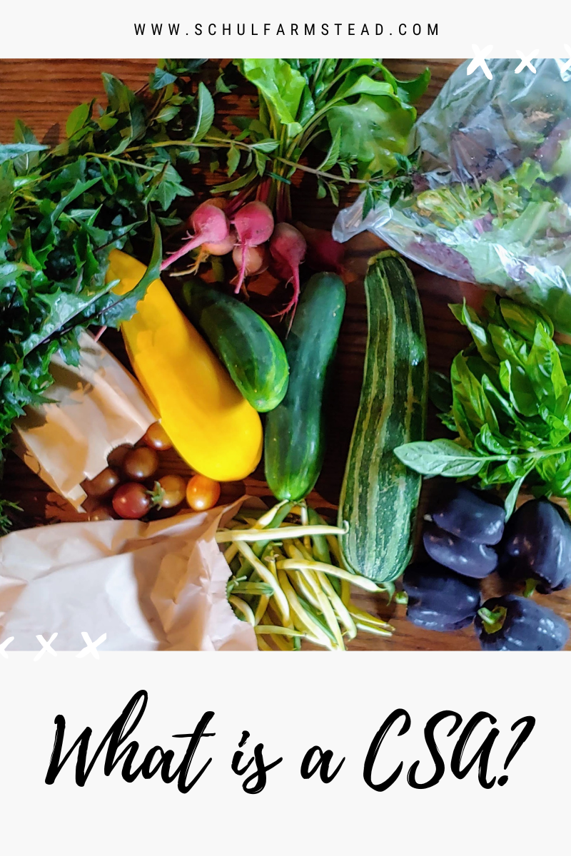 CSA Resources – Schul Farmstead